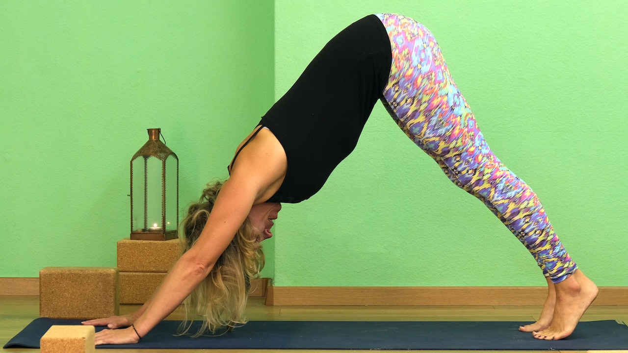 Yoga for Beginners Workshop with Annabelle, Sunday, Oct 10th, 13:00 ...
